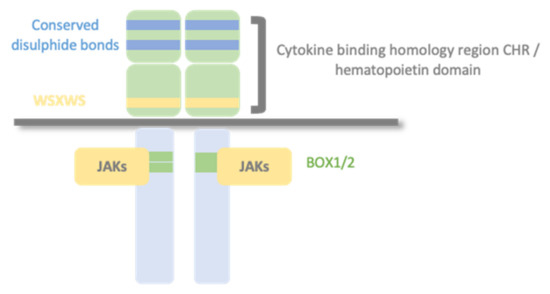 CRLF1 and CLCF1 in Development, Health and Disease