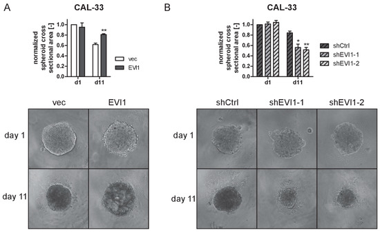 EVI1 Promotes the Proliferation and Invasive Properties of Human Head ...