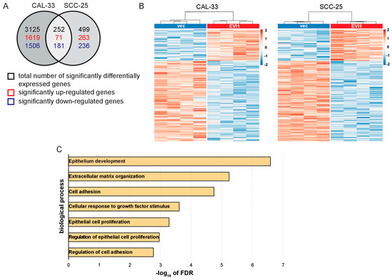 EVI1 Promotes the Proliferation and Invasive Properties of Human Head ...