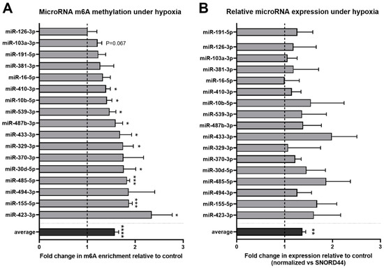 N-6-Methyladenosine in Vasoactive microRNAs during Hypoxia; A Novel ...