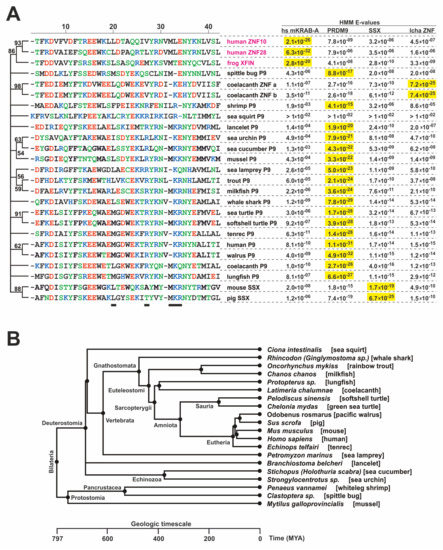 The KRAB Domain of ZNF10 Guides the Identification of Specific Amino ...