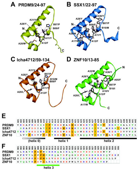 The KRAB Domain of ZNF10 Guides the Identification of Specific Amino ...