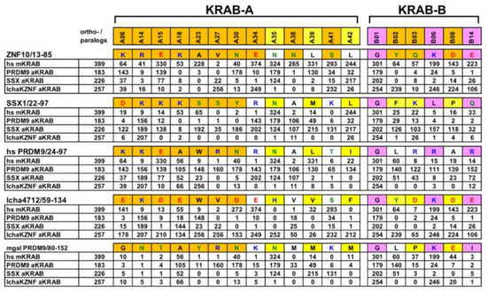 The KRAB Domain of ZNF10 Guides the Identification of Specific Amino ...