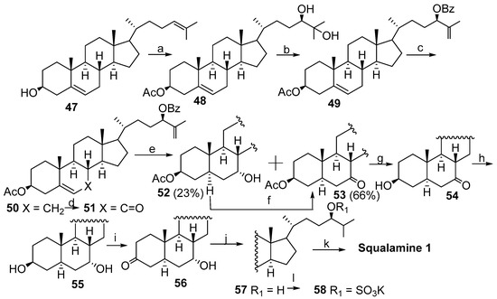 From Marine Metabolites to the Drugs of the Future: Squalamine ...