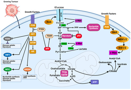 Cancer as a Metabolic Disorder