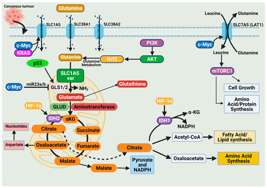 Cancer as a Metabolic Disorder