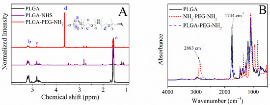 Antibody Conjugated PLGA Nanocarriers and Superparmagnetic ...