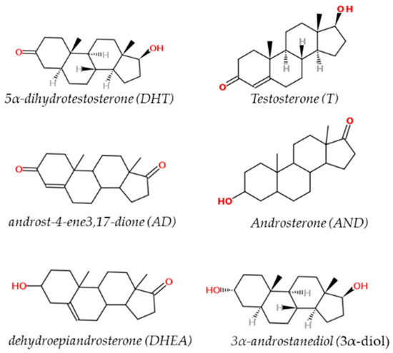 Endocrine Disruptors and Prostate Cancer