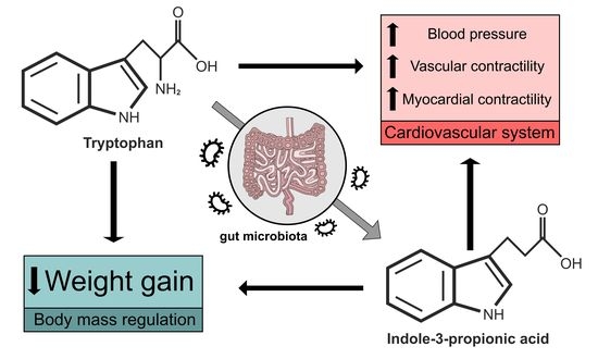 IJMS | Free Full-Text | Biological Effects of Indole-3-Propionic Acid, a Gut Microbiota-Derived ...