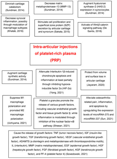 Intra-Articular Platelet-Rich Plasma Injections in Knee Osteoarthritis: A Review of Their ...