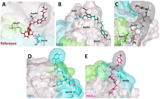 Identification of New KRAS G12D Inhibitors through Computer-Aided Drug ...