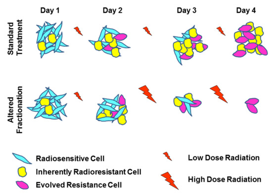 A Century of Fractionated Radiotherapy: How Mathematical Oncology Can ...