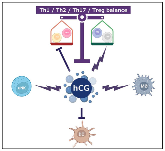 Human Chorionic Gonadotropin and Early Embryogenesis: Review