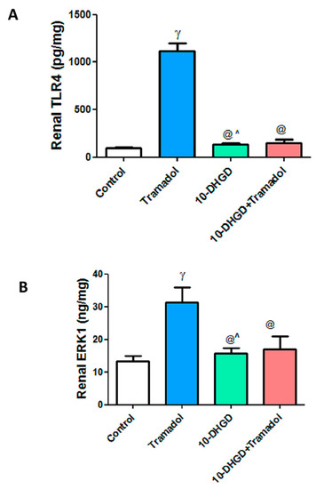 10-Dehydrogingerdione Attenuates Tramadol-Induced Nephrotoxicity by ...
