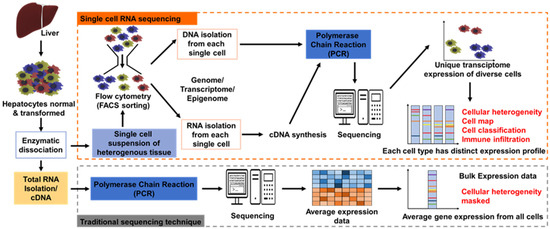 An Overview on Single-Cell Technology for Hepatocellular Carcinoma ...