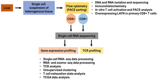 An Overview on Single-Cell Technology for Hepatocellular Carcinoma ...