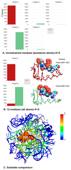 The CAR–mRNA Interaction Surface Is a Zipper Extension of the Ribosome ...