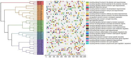 Comprehensive Analysis of Carotenoid Cleavage Dioxygenases Gene Family ...
