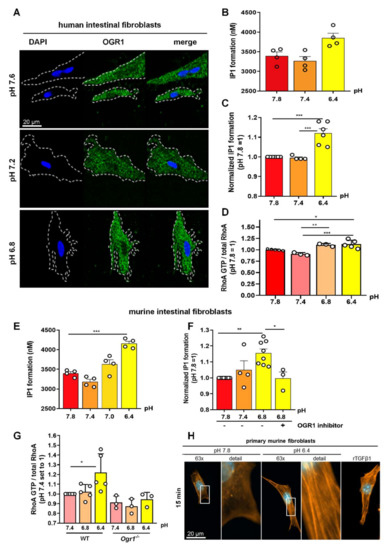 pH-Sensing G Protein-Coupled Receptor OGR1 (GPR68) Expression and ...