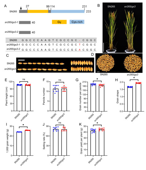 Simultaneous Improvement of Grain Yield and Quality through ...