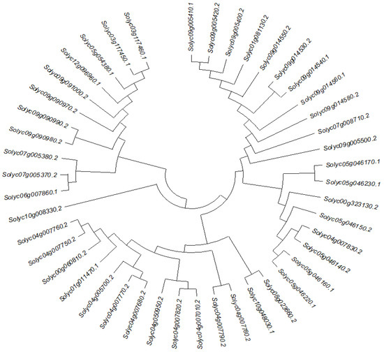 Genome-Wide Identification and Functions against Tomato Spotted Wilt ...