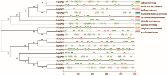 Identification and Expression Analysis of the Populus trichocarpa GASA ...