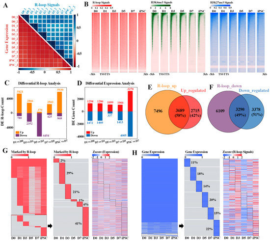 The Cumulative Formation of R-loop Interacts with Histone Modifications ...