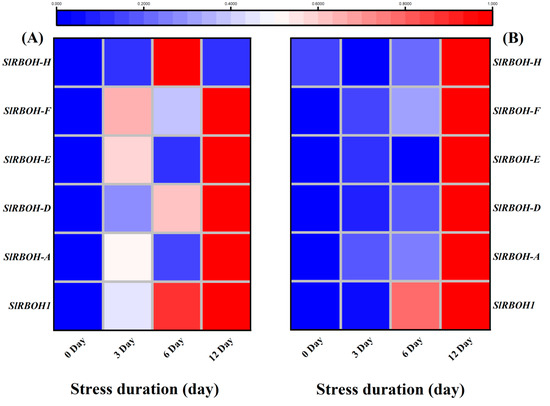 IJMS | Free Full-Text | A Comprehensive Evaluation of Salt Tolerance in ...