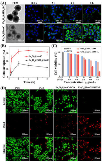 A Novel Yolk–Shell Fe3O4@ Mesoporous Carbon Nanoparticle as an ...