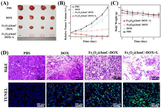 A Novel Yolk–Shell Fe3O4@ Mesoporous Carbon Nanoparticle as an ...