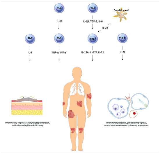 IJMS | Free Full-Text | Chronic Inflammation as the Underlying ...