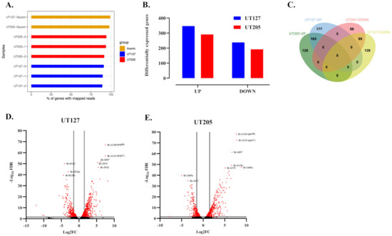 Dual RNA Sequencing of Mycobacterium tuberculosis-Infected Human ...