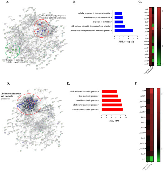 Dual RNA Sequencing of Mycobacterium tuberculosis-Infected Human Splenic Macrophages Reveals a ...