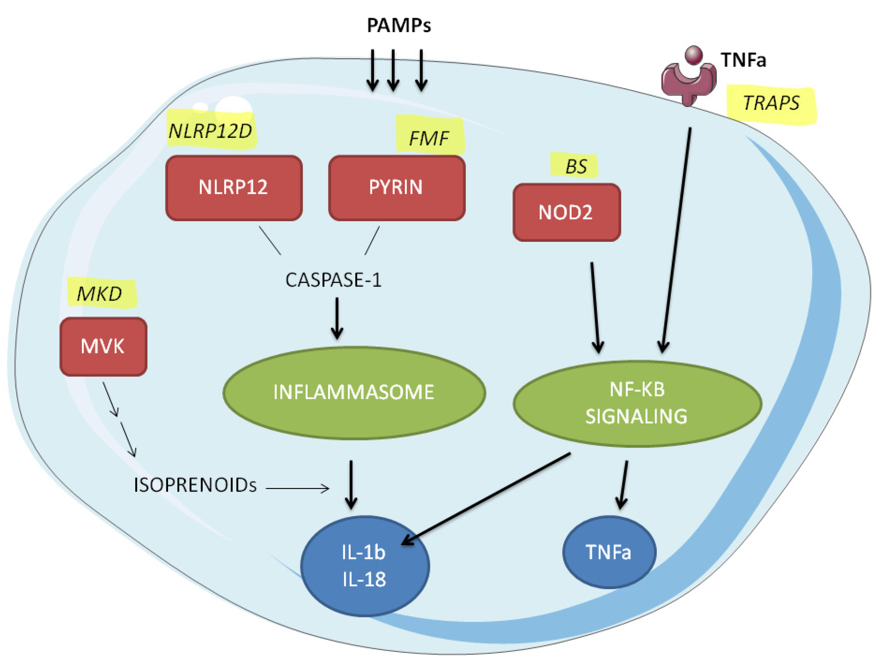 A Pro-Inflammatory Signature Constitutively Activated in Monogenic Autoinflammatory Diseases