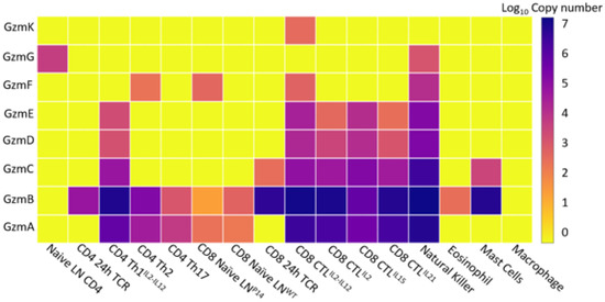 IJMS | Free Full-Text | Granzymes: The Molecular Executors of Immune ...