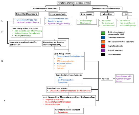 IJMS | Free Full-Text | Understanding Molecular Mechanisms and ...