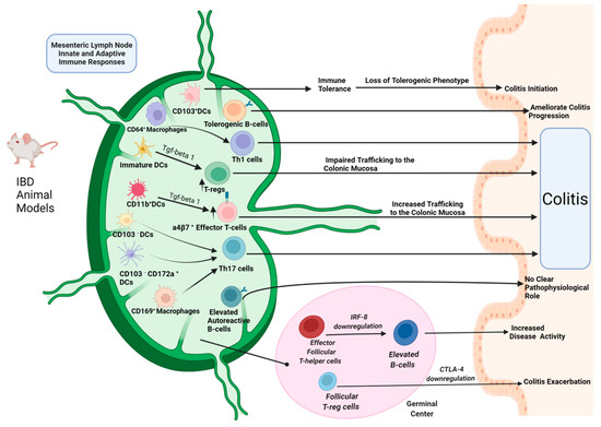 The Role of the Lymphatic System in the Pathogenesis and Treatment of ...