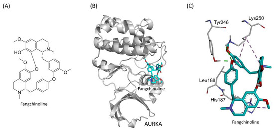 Novel Aurora A Kinase Inhibitor Fangchinoline Enhances Cisplatin–DNA ...