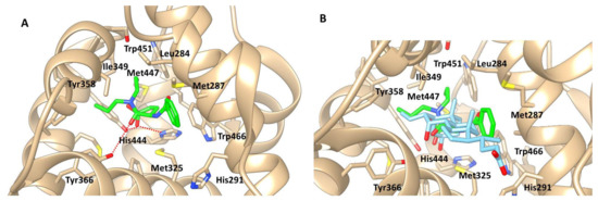Proglumide Reverses Nonalcoholic Steatohepatitis by Interaction with ...