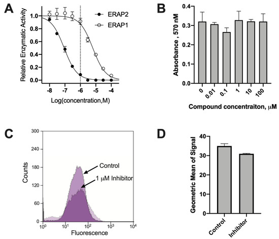 ERAP2 Inhibition Induces Cell-Surface Presentation by MOLT-4 Leukemia ...