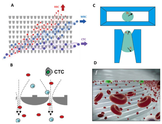 IJMS | Free Full-Text | Microfluidic-Based Technologies for CTC ...
