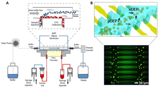 Microfluidic-Based Technologies for CTC Isolation: A Review of 10 Years ...
