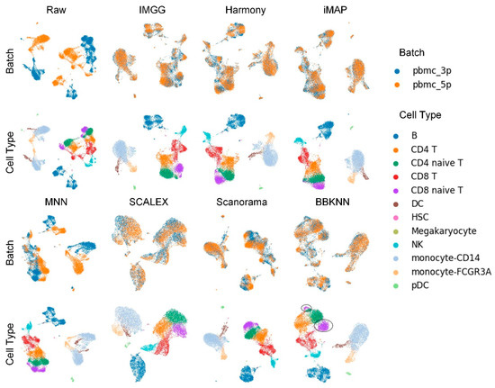 IMGG: Integrating Multiple Single-Cell Datasets through Connected Graphs and Generative ...