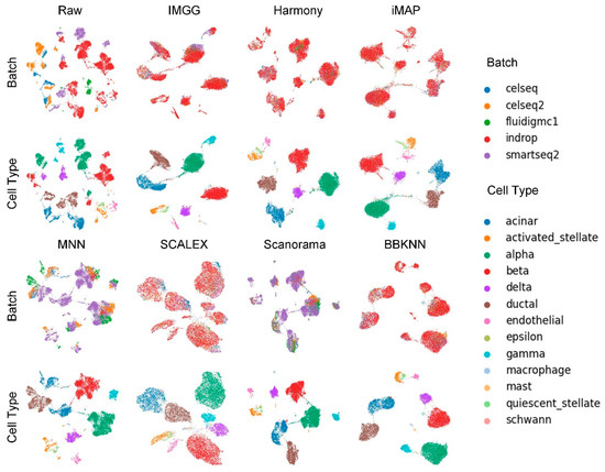 IMGG: Integrating Multiple Single-Cell Datasets through Connected Graphs and Generative ...