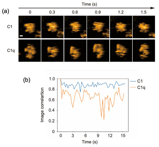 Quantitative Visualization of the Interaction between Complement ...