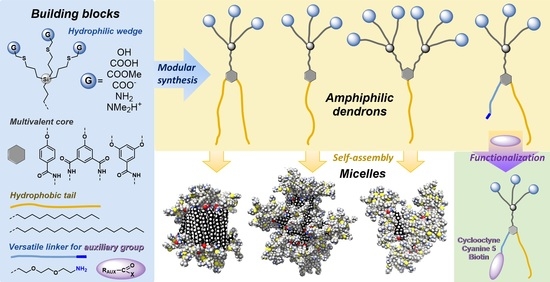 IJMS | Free Full-Text | Adaptive Synthesis of Functional Amphiphilic Dendrons as a Novel ...
