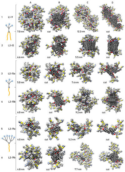 Adaptive Synthesis of Functional Amphiphilic Dendrons as a Novel Approach to Artificial ...