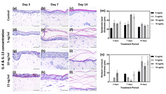An Interleukin-4 and Interleukin-13 Induced Atopic Dermatitis Human ...