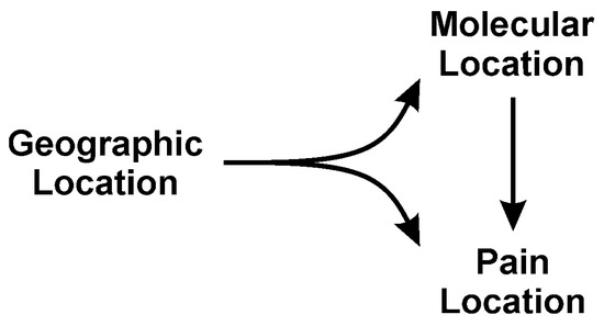 Review of the Mechanisms of Snake Venom Induced Pain: It’s All about ...