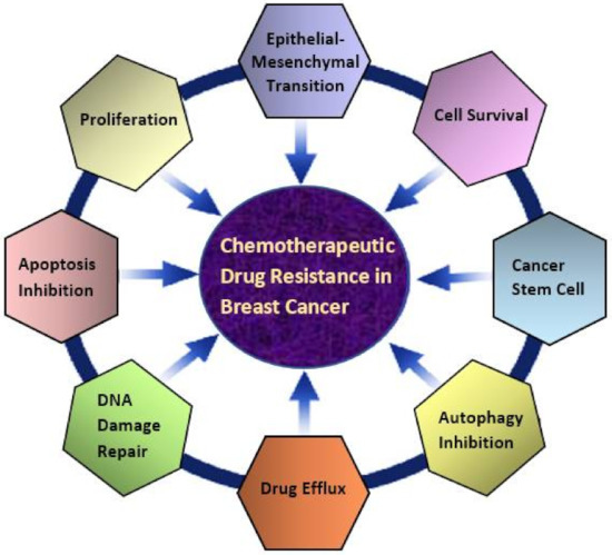 IJMS | Free Full-Text | Curcumin as an Enhancer of Therapeutic ...